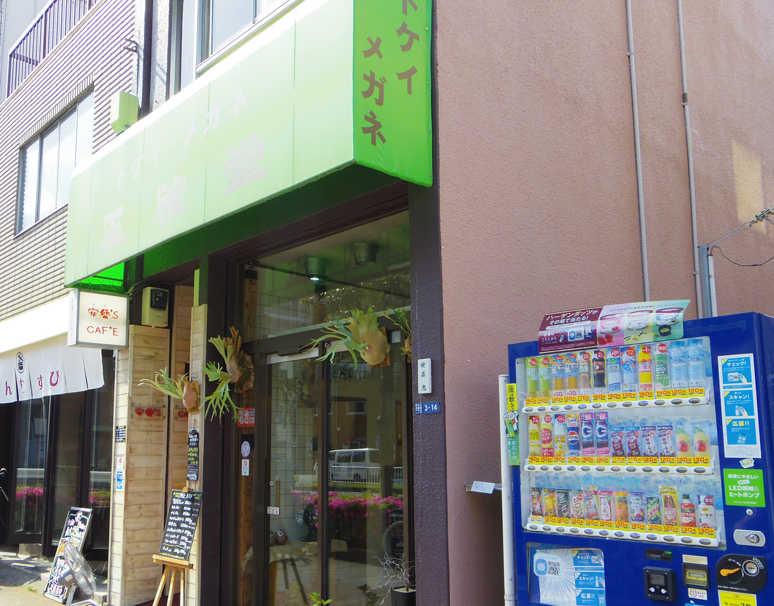 時計と珈琲とビカクシダが織りなす下町のぬくもり安藝's CAF'E - 東京都墨田区のニュースメディア【すみラボ】